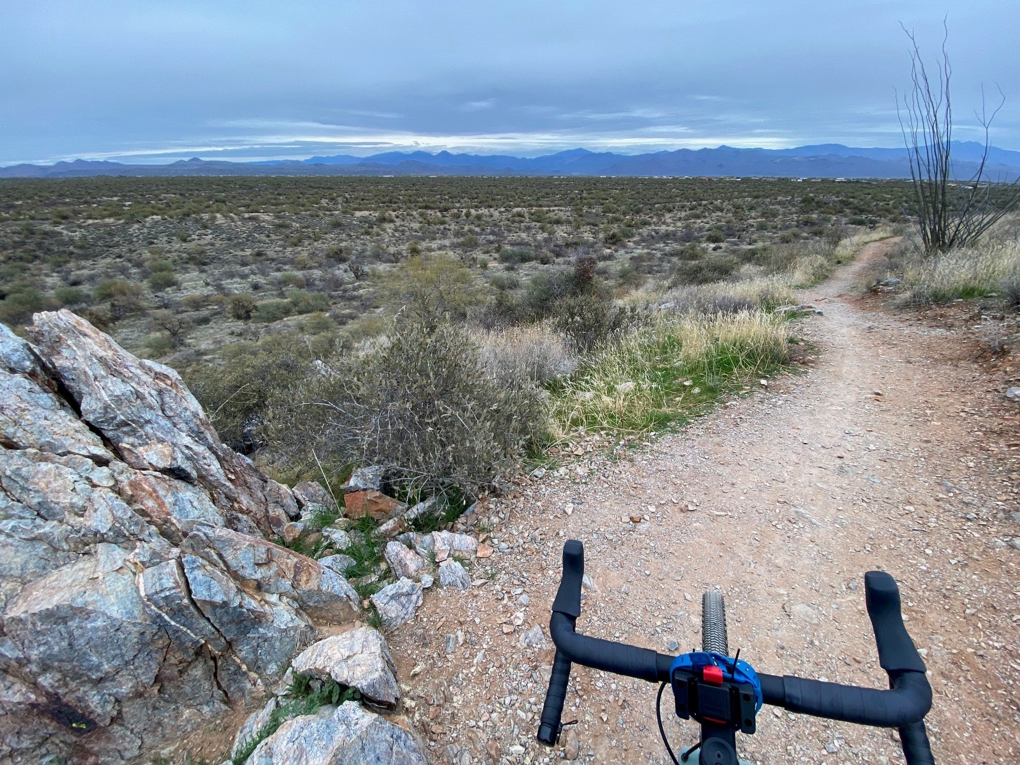 Navigating Restriction Requirements in Patent Applications | Thomas W ...